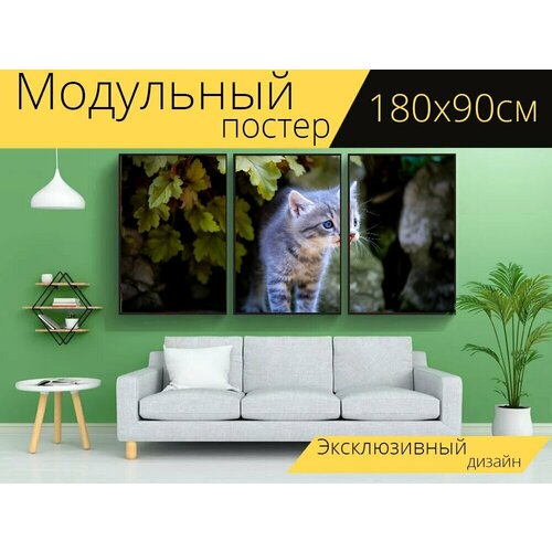 Модульный постер "Кошка, котенок, домашний питомец" 180 x 90 см. для интерьера