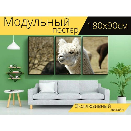 Модульный постер "Альпака, животное, ограждение" 180 x 90 см. для интерьера