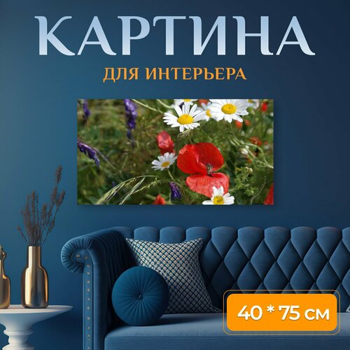 Картина на холсте "Цветы, ромашка, маковая весна" на подрамнике 75х40 см. для интерьера