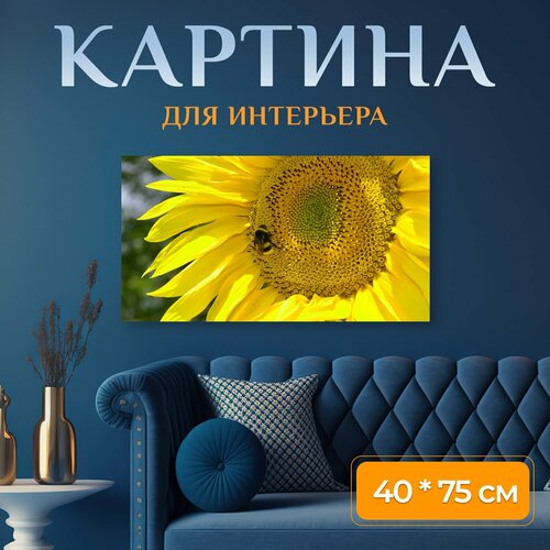 Картина на холсте "Подсолнух, шмель, цветок" на подрамнике 75х40 см. для интерьера