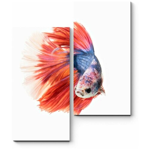 Модульная картина Красно-синяя рыбка 60x75