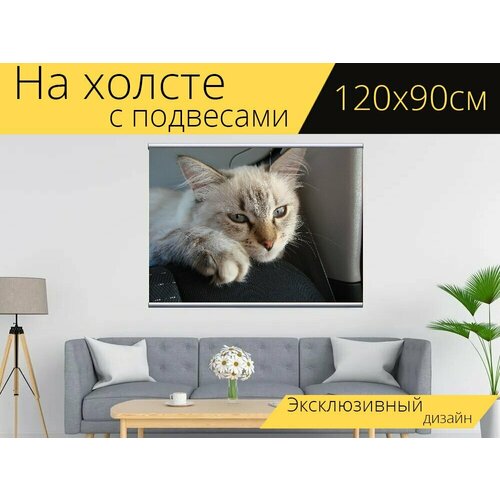 Картина на холсте "Кошка, невская маскарадная, животные" с подвесами 120х90 см. для интерьера
