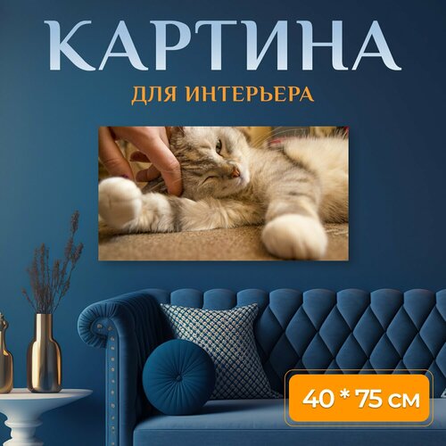 Картина на холсте "Милый, кошка, млекопитающие" на подрамнике 75х40 см. для интерьера