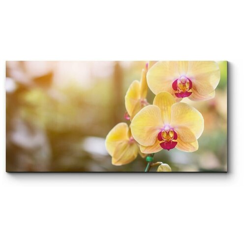 Модульная картина Чарующая орхидея 150x75