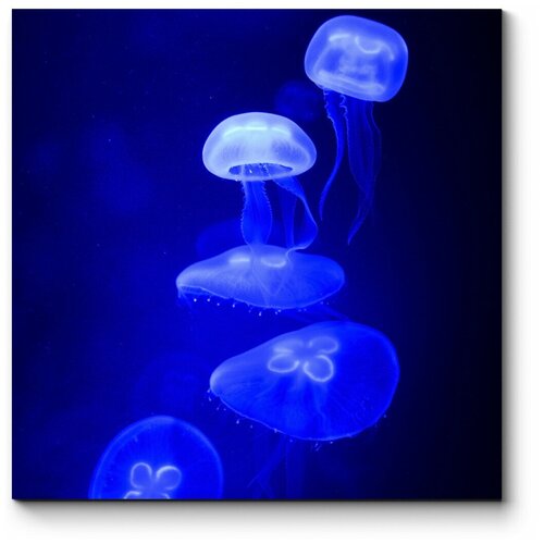 Модульная картина Медузы плывущие к свету 90x90