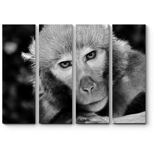 Модульная картина Портрет харизматичной обезьянки120x90