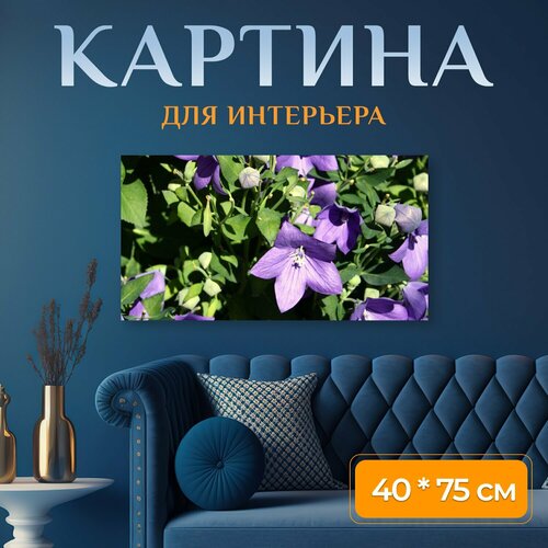 Картина на холсте "Цветы, фиолетовый, сад" на подрамнике 75х40 см. для интерьера