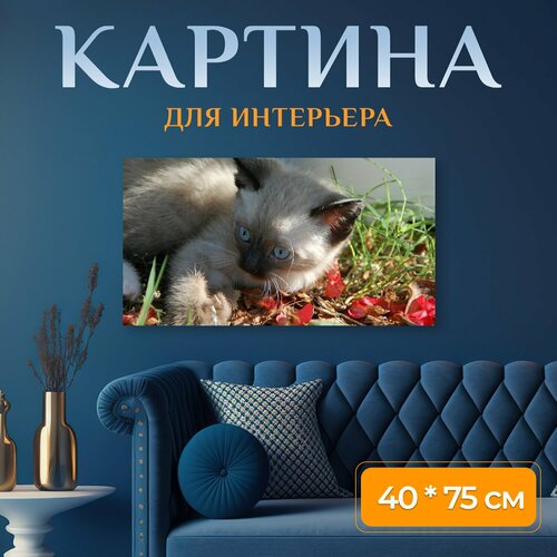 Картина на холсте "Кошка, котенок, животные" на подрамнике 75х40 см. для интерьера