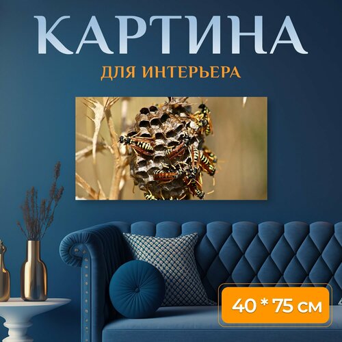 Картина на холсте "Это рой осы, подгузник, насекомое" на подрамнике 75х40 см. для интерьера