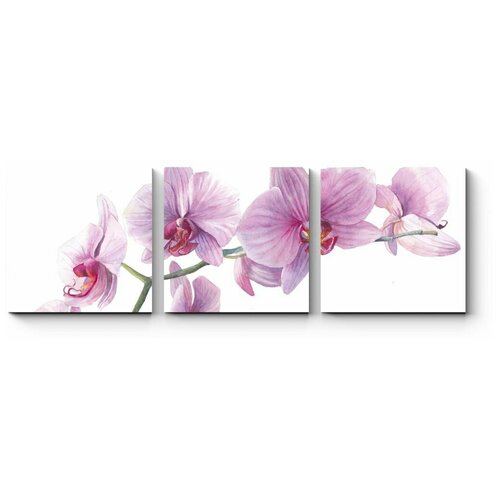 Модульная картина Ветка чудесной орхидеи 180x60