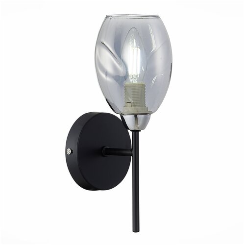 Настенный светильник Evoluce GLOA SLE155511-01, E14, 40 Вт, цвет арматуры: черный
