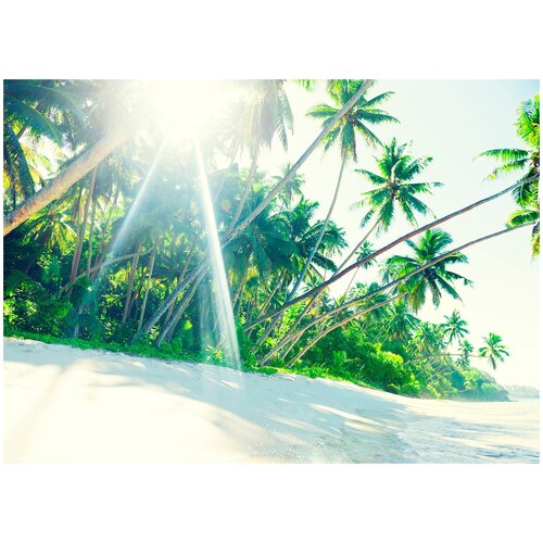 Постер / Плакат / Картина Тропический пляж на Самоа 50х70 см в раме