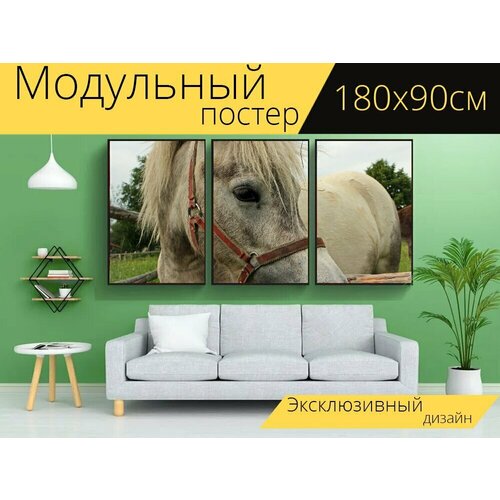 Модульный постер "Лошадиная голова, голова, лошадь" 180 x 90 см. для интерьера