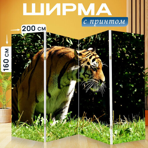 Ширма перегородка с принтом "Тигр, хищник, шерсть" на холсте - 200x160 см. для зонирования, раскладная