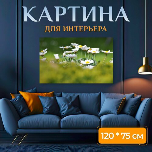 Картина на холсте "Цветы, маргарита, маргерите" на подрамнике 120х75 см. для интерьера