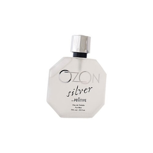 Art Positive туалетная вода Ozon Silver, 85 мл, 85 г