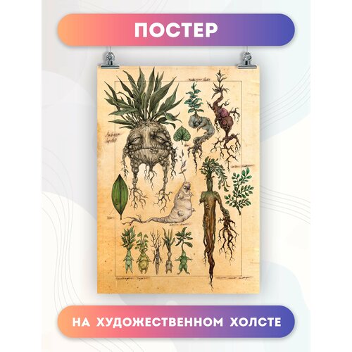 Постер на холсте goblincore aesthetic гоблинкор эстетика грибы (20) 60х80 см
