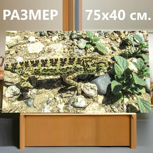 Картина на холсте "Кипр, хамелеон, животное" на подрамнике 75х40 см. для интерьера