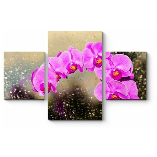 Модульная картина Роскошная орхидея 100x65