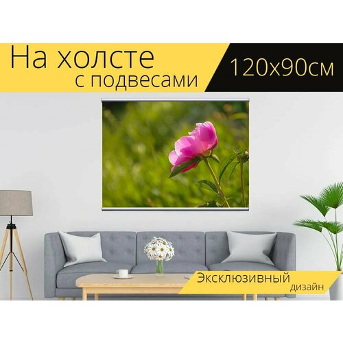 Картина на холсте "Пион, цвести, цветок" с подвесами 120х90 см. для интерьера
