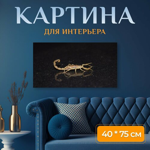 Картина на холсте "Жук, насекомое, скорпион" на подрамнике 75х40 см. для интерьера