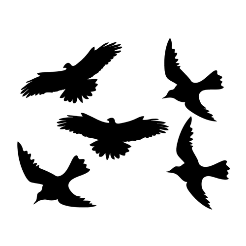 Наклейки-стикеры: силуэты хищных птиц (60 x 42) см - V28