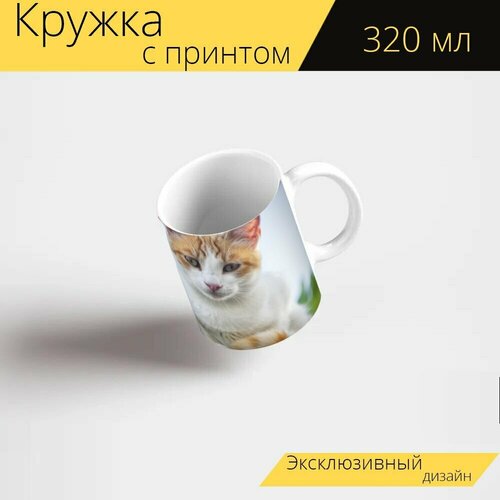 Кружка с рисунком, принтом "Кошки, домашние питомцы, животные" 320 мл.