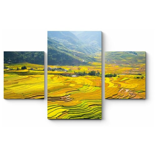 Модульная картина Рисовые поля у подножия гор Вьетнама 170x111