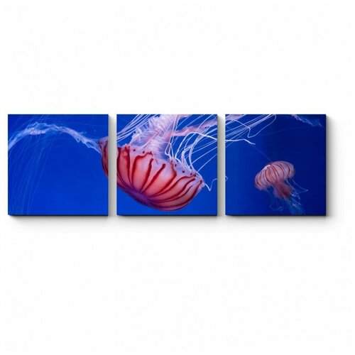 Модульная картина Чудесные медузы190x63