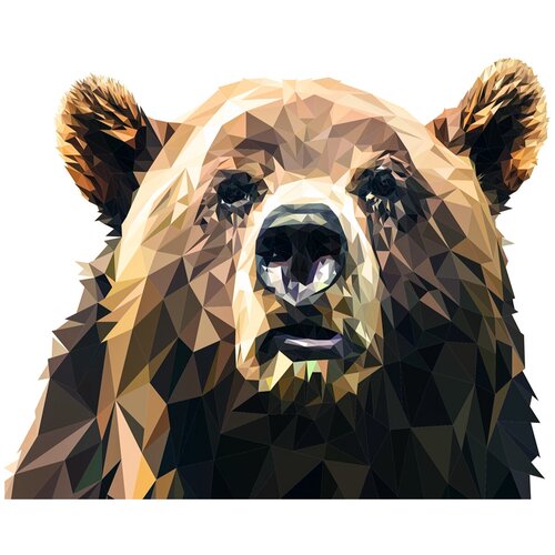 Постер / Плакат / Картина Медведь гризли 40х50 см в раме
