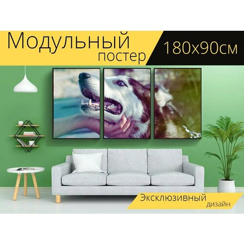 Модульный постер "Хаски, собака, любовь" 180 x 90 см. для интерьера