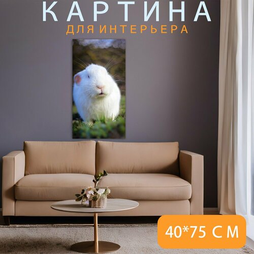Картина на холсте "Кролик, пасха, белый" на подрамнике 40х75 см. для интерьера