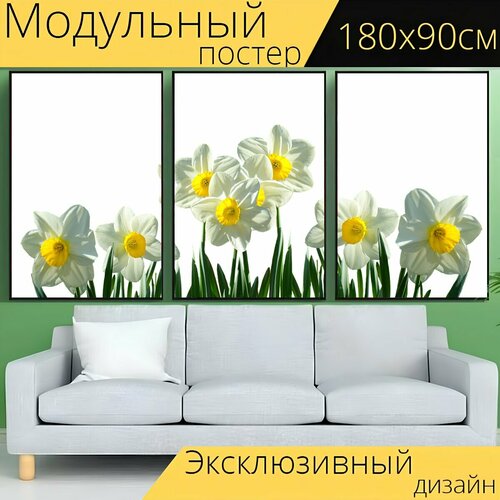 Модульный постер "Нарциссы, пасхальные колокола, весна" 180 x 90 см. для интерьера