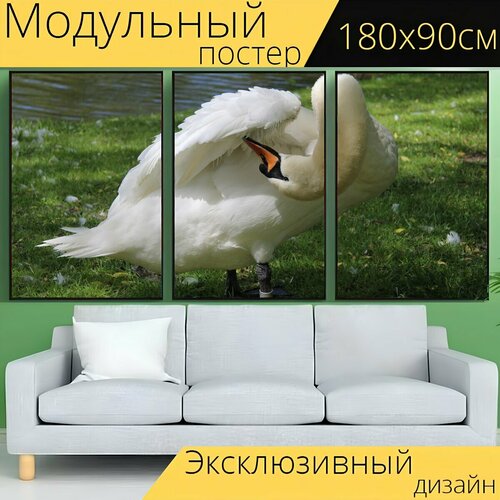 Модульный постер "Лебедь, птица, вода" 180 x 90 см. для интерьера