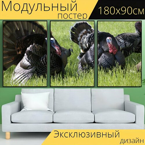 Модульный постер "Турция, благодарение, птица" 180 x 90 см. для интерьера