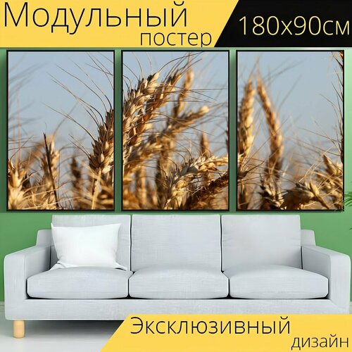 Модульный постер "Сельское хозяйство, пшеница, завод" 180 x 90 см. для интерьера