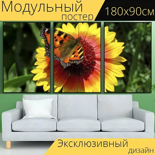 Модульный постер "Бабочка, крапивница, цветок" 180 x 90 см. для интерьера