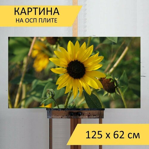 Картина на ОСП 125х62 см. "Цветок, желтый, природа" горизонтальная, для интерьера, с креплениями
