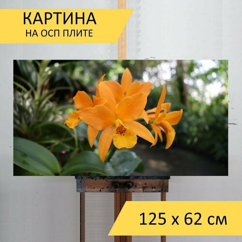 Картина на ОСП 125х62 см. "Орхидея, желтый, завод" горизонтальная, для интерьера, с креплениями