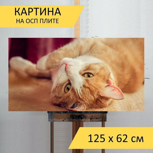Картина на ОСП 125х62 см. "Кот, красный, домашняя кошка" горизонтальная, для интерьера, с креплениями
