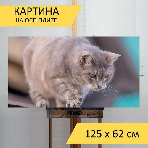 Картина на ОСП 125х62 см. "Домашние животные, кошка, животные" горизонтальная, для интерьера, с креплениями