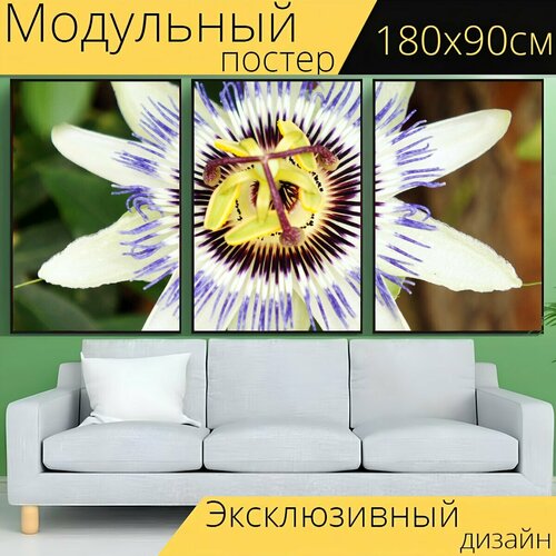 Модульный постер "Цветок, сказочный цветок, цветущее растение" 180 x 90 см. для интерьера