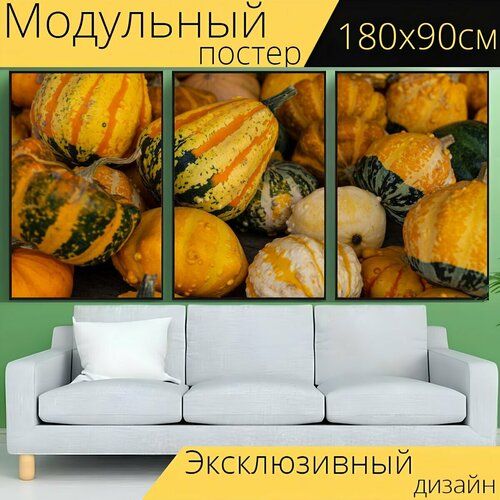 Модульный постер "Тыква, овощи, уборка урожая" 180 x 90 см. для интерьера