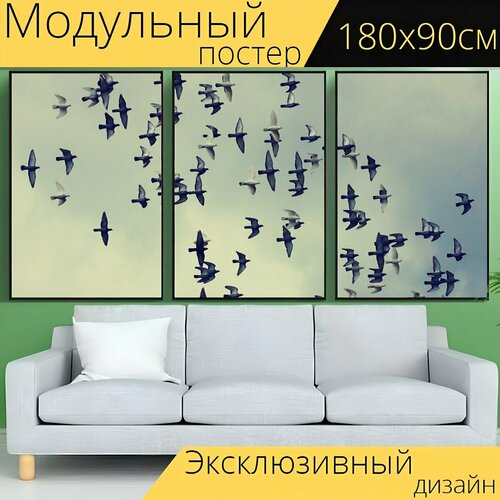 Модульный постер "Голуби, стая птиц, летающий" 180 x 90 см. для интерьера
