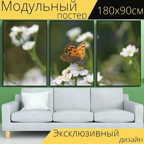 Модульный постер "Бабочка, цветы, опылять" 180 x 90 см. для интерьера