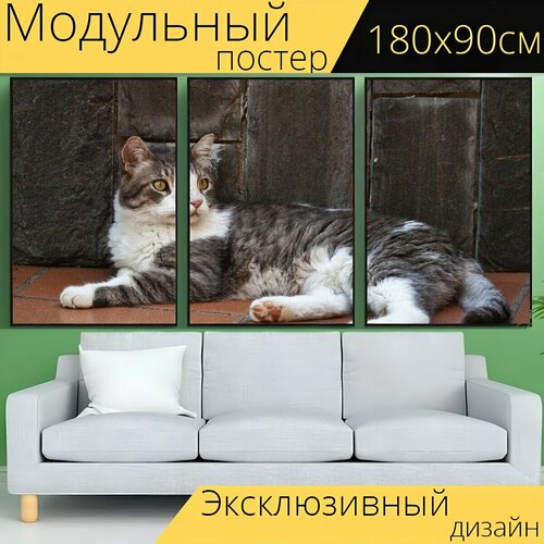 Модульный постер "Кошка, котенок, животное" 180 x 90 см. для интерьера
