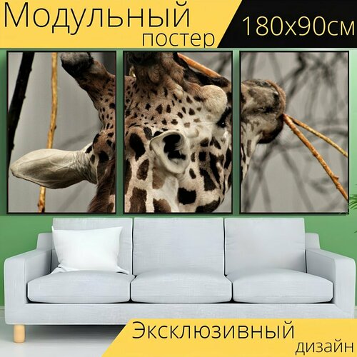 Модульный постер "Природа, животное, дикая природа" 180 x 90 см. для интерьера