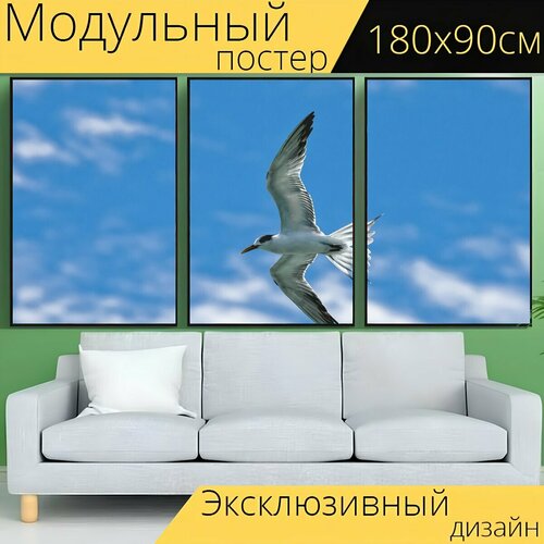 Модульный постер "Птица, речная крачка, летающий" 180 x 90 см. для интерьера
