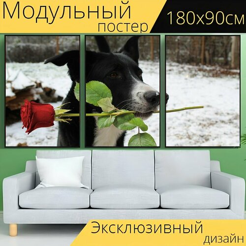 Модульный постер "Собака, роза, снег" 180 x 90 см. для интерьера