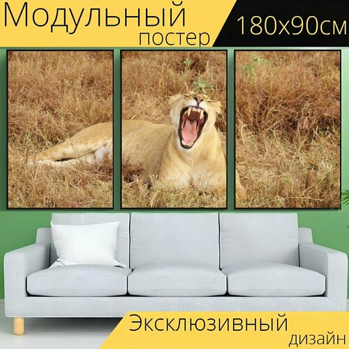 Модульный постер "Лев, зевать, животное" 180 x 90 см. для интерьера